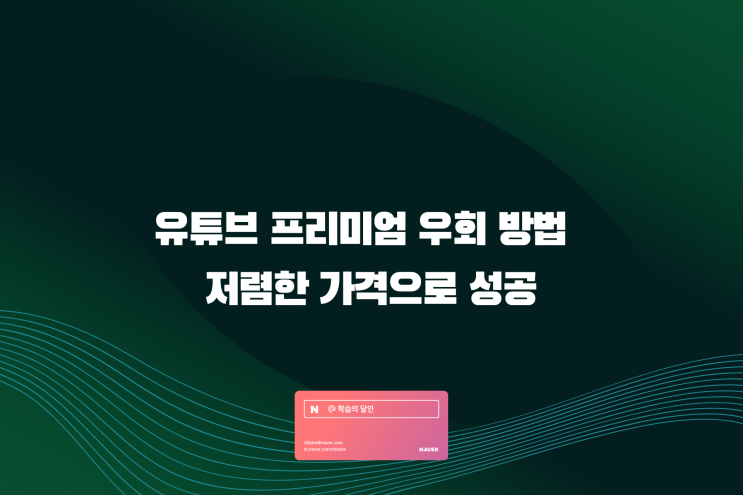 유튜브 프리미엄 우회 방법 저렴한 가격으로 성공 네이버 블로그