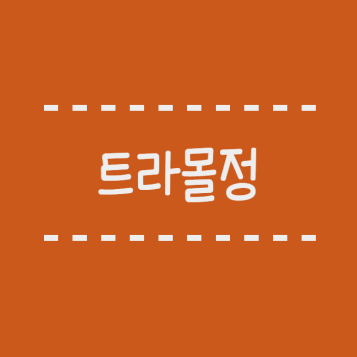 트라몰정 작용기전 325mg 160mg 비교 복용 주의사항 네이버 블로그