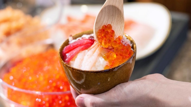 삿포로 여행 호텔 숙소 : 네이버 블로그