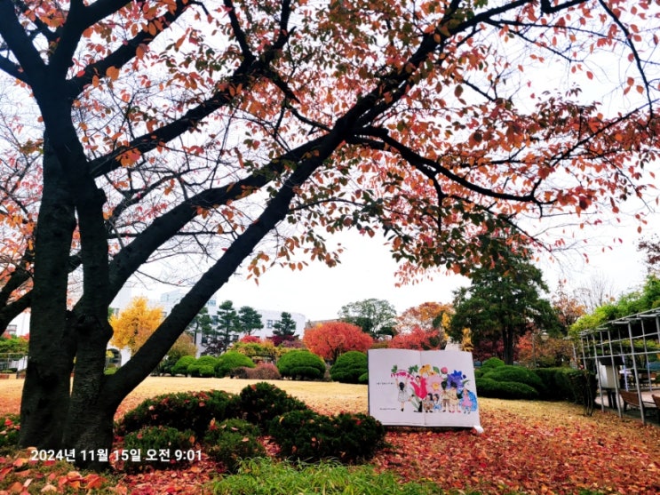 종로구 북촌 산책의 필수 코스 가을감성 충만 가을빛 물든 정독도서관 L 역사와 자연이 어우러진 특별한 공간 네이버 블로그