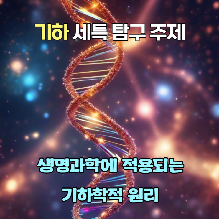 의학 생명 기하 세특 탐구 주제 생명과학에 적용되는 기하학적 원리 네이버 블로그