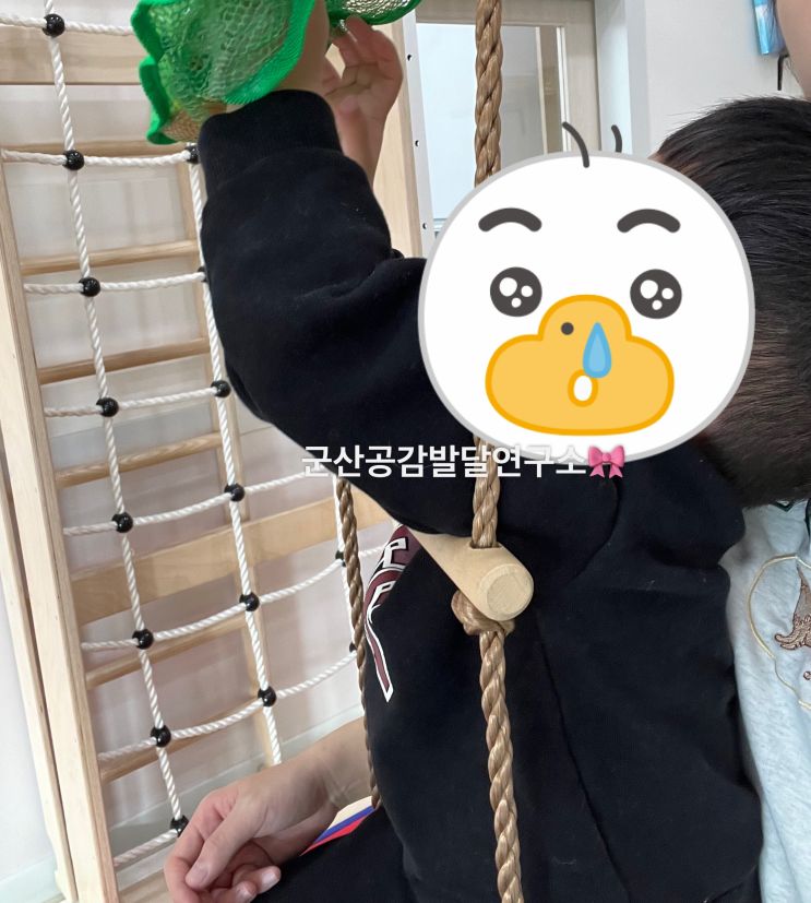 감각통합 기본적인 치료의 진행방법 군산공감발달연구소 네이버 블로그
