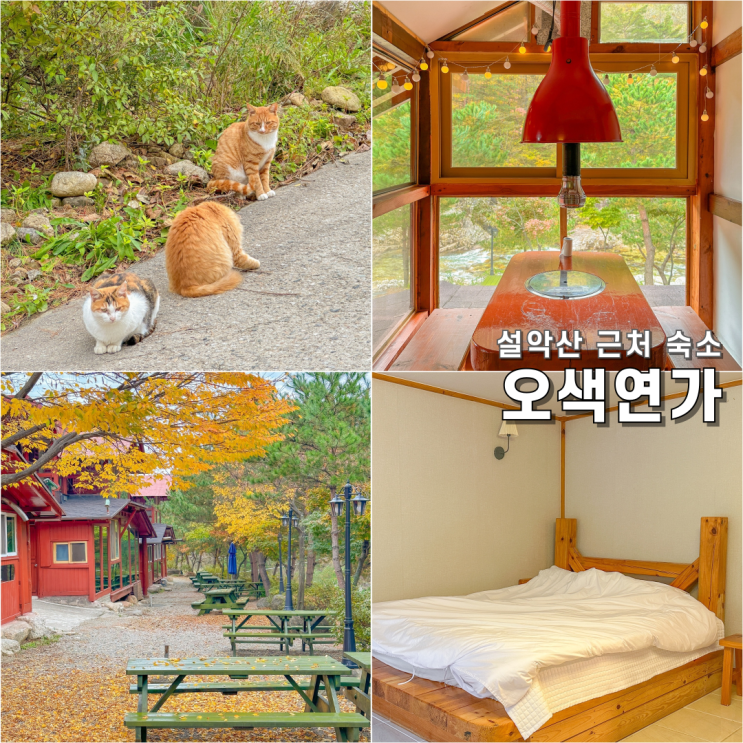 속초 설악산 근처 숙소 강원도 양양 숙소 추천 오색연가 숲캉스 네이버 블로그