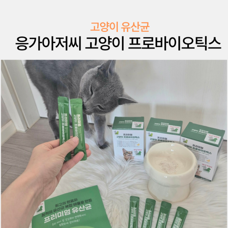 고양이유산균 유진바이옴 응가아저씨 변비 아기고양이설사에도 좋아요 네이버 블로그