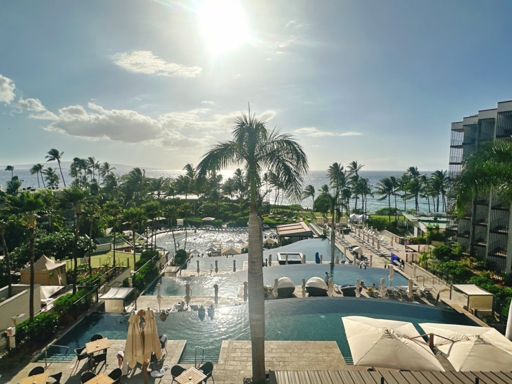 [미국/하와이]안다즈마우이(Andaz Maui at Wailea Resort) : 네이버 블로그