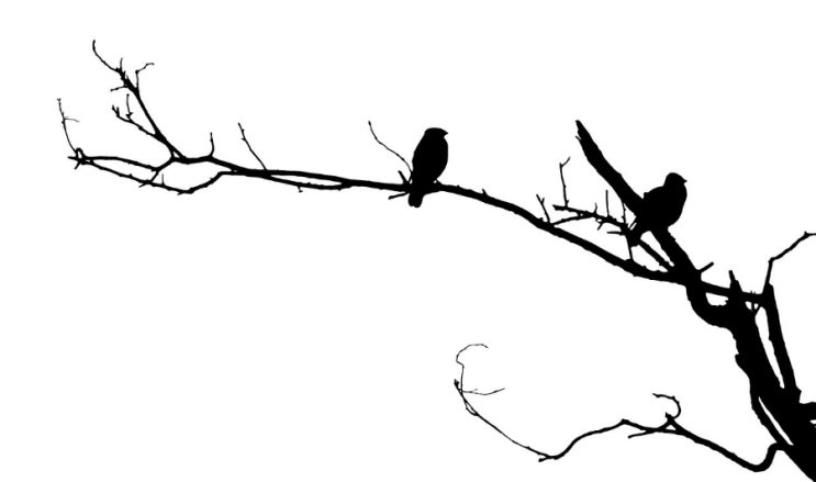 초국가적 행위자(Transnational Actor) : 네이버 블로그