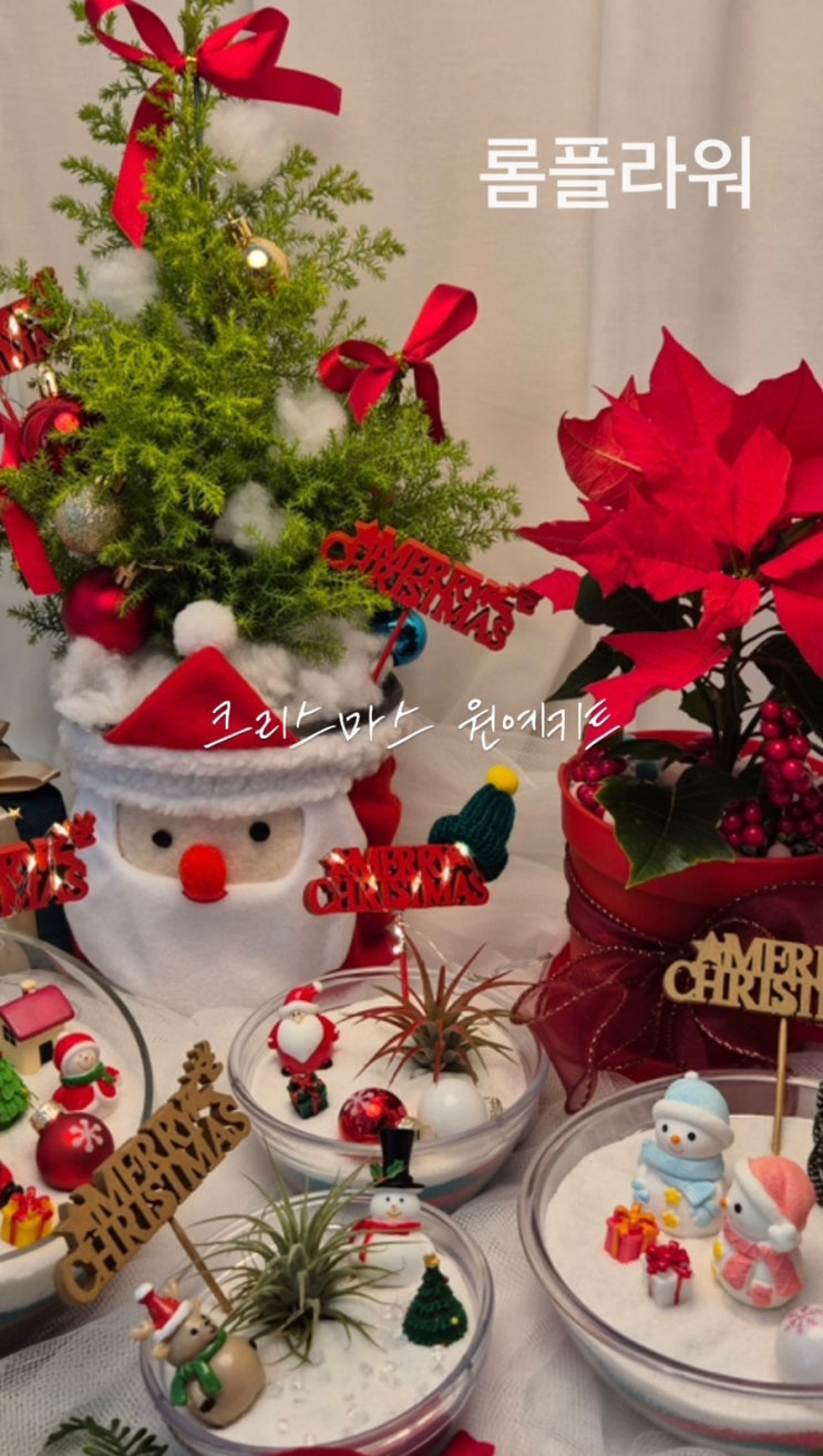 크리스마스/겨울 유치원 원예활동 원예키트🎄 : 네이버 블로그