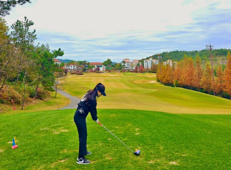 장흥) 가을 라운딩 추천 JNJ cc 정코스,남코스 비교 후기 🤎 : 네이버 블로그