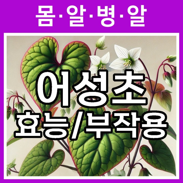 어성초 효능 피부건강 항염 항균 효과 해독효능 혈액순환개선 탈모예방 성분 부작용 알고 섭취해야 네이버 블로그