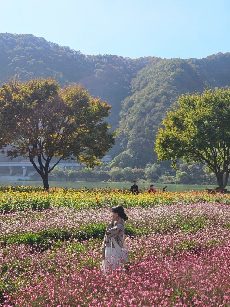 1박2일 단양여행코스추천: 도담삼봉&석문&도담정원 / 떡갈비맛집 / 단양구경시장 / 보발재 / 한드미하우쓰펜션 / 카페산 / 흑 ...