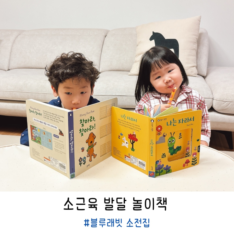 블루래빗 소전집 언어발달 첫놀이감 소근육 발달 놀이 책 추천 네이버 블로그