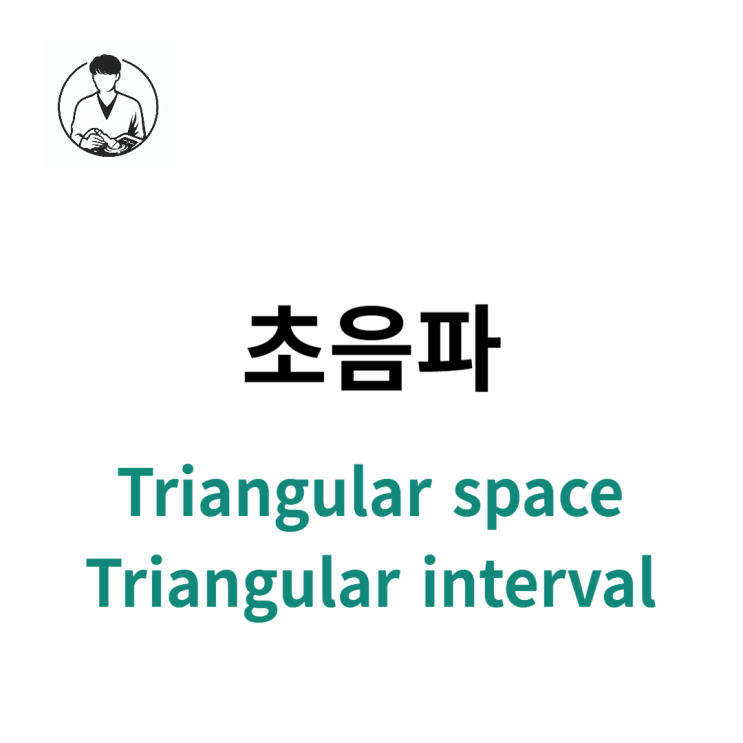 Triangulr interval (삼변간) Triangular space (삼변공)초음파 소견 : 네이버 블로그
