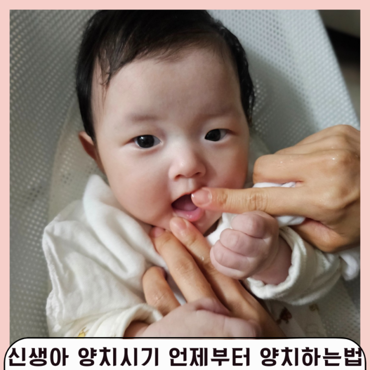 신생아 양치시기 언제부터 아기 양치하는법 네이버 블로그
