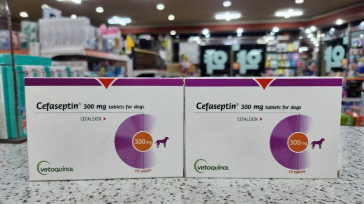 수원 하나로 365동물약국 | 강아지 경구용 항생제 세파셉틴(Cefaseptin) 성분 효능 효과 용법 부작용 주의사항 ...