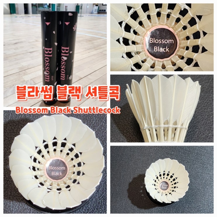 블라썸 블랙 셔틀콕(Blossom Black Shuttlecock) 리뷰 : 네이버 블로그