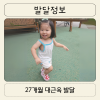두돌 생후 27개월 아기 대근육 발달 한국 영유아 발달선별검사 네이버 블로그