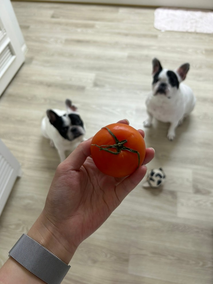 Part.4/ 11월도 happy : 네이버 블로그