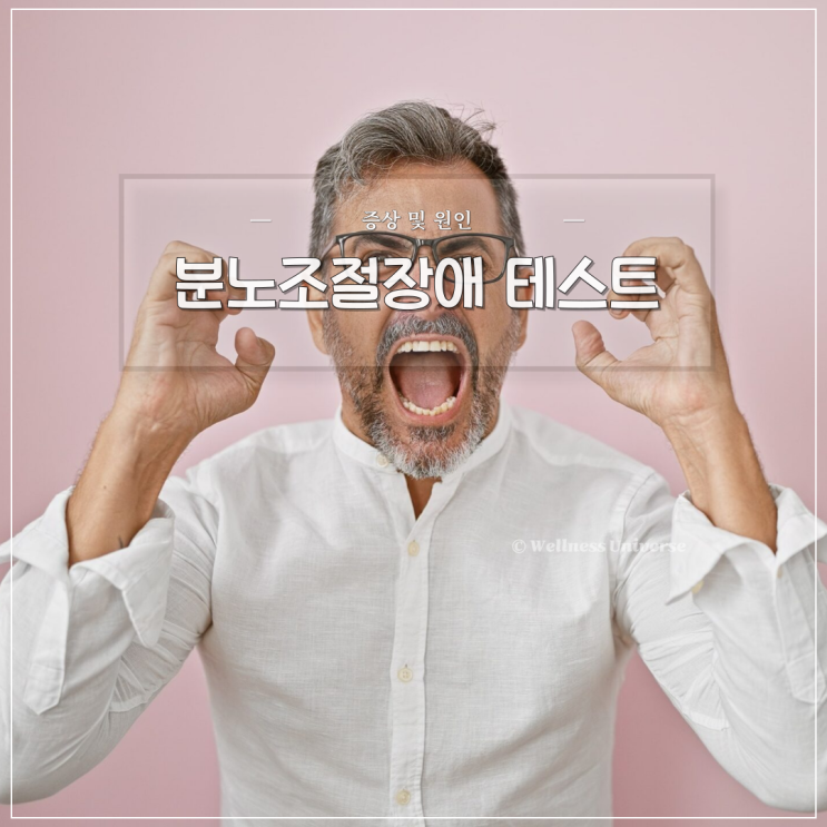 분노조절장애 테스트 증상 및 원인 알아봐요 네이버 블로그