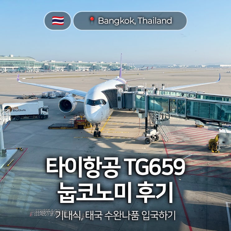 [방콕🇹🇭] 타이항공 TG659 눕코노미 후기 :: 스타얼라이언스 마일리지 티켓, 기내식, 수완나품 입국 : 네이버 블로그