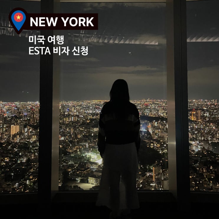 뉴욕 여행 미국 여행 미국 비자 발급 Esta 신청하기 꿀팁 유효기간 승인 소요 시간 네이버 블로그