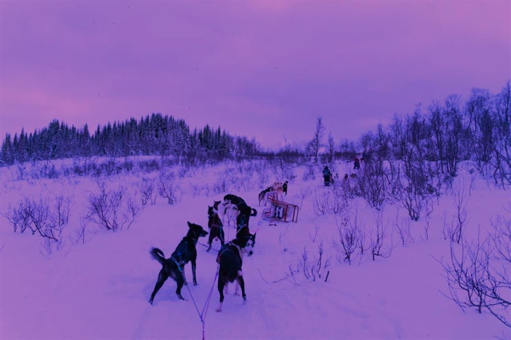 눈썰매의 역사와 유래 : 네이버 블로그