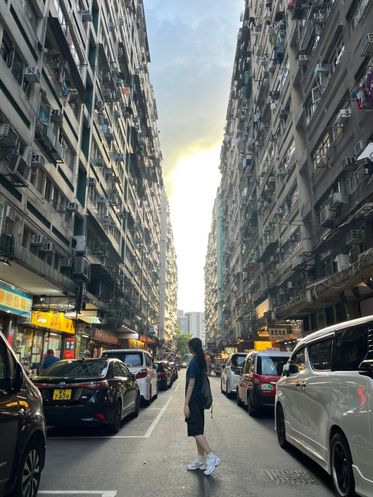 홍콩 침사추이 맛집 코스 : 딤섬히어, 카도라베이커리, 힝키 레스토랑 : 네이버 블로그