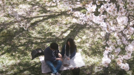 다 신기루라 해도 : 네이버 블로그