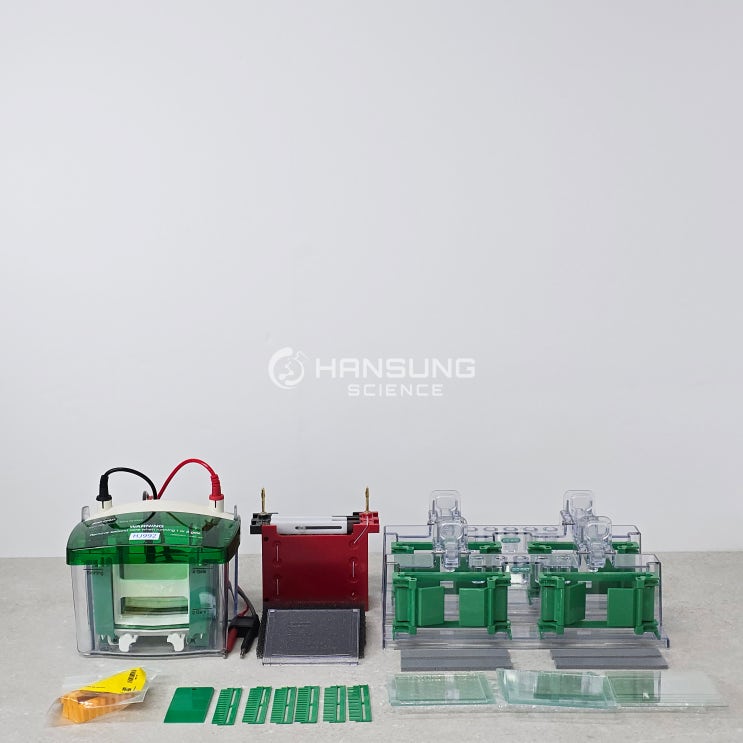 BIO-RAD Mini-PROTEAN Tetra Cell System with Accessories , 전기영동장치 (HJ992 ...