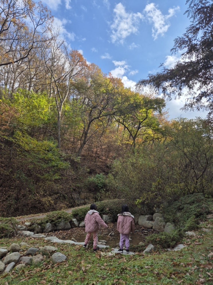 울산 울주군 대형숲놀이터추천 자드락숲 놀이터리뉴얼 방문꿀팁 네이버 블로그