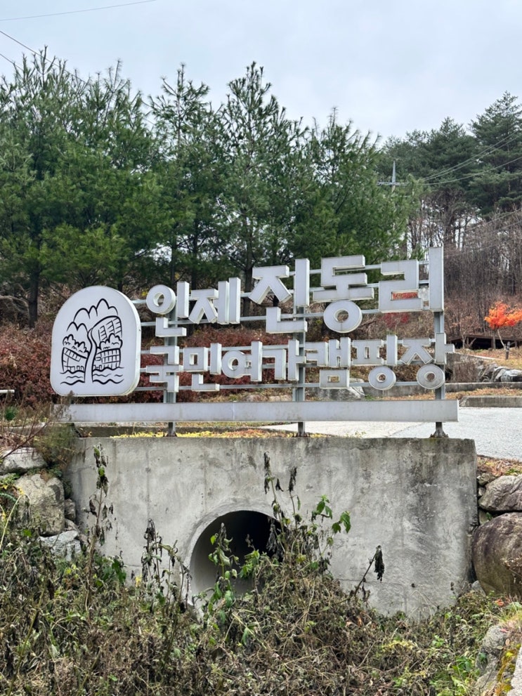 (강원 인제)관리 잘 되고 깨끗한 ‘진동리국민여가캠핑장’ 내돈내산 리뷰(포레스트11번, 12번 사이트 추천) : 네이버 블로그