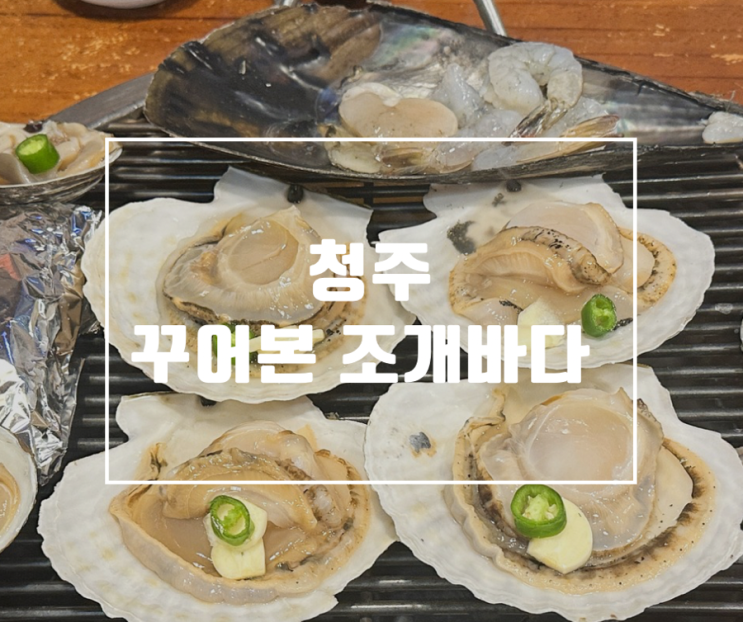 청주금천동 꾸어본조개바다 본점 조개구이 내돈내산 맛집추천집추천 네이버 블로그