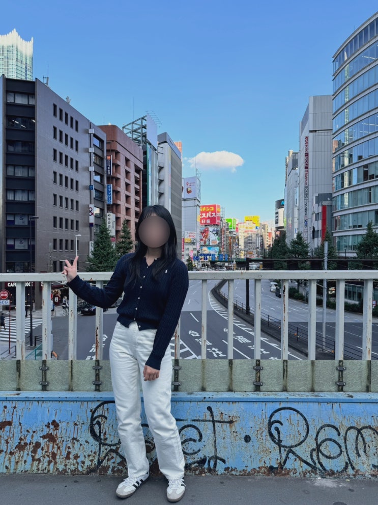 도쿄 혼자 여행 신주쿠 육교 포토스팟 추천 꿀팁 (+ 위치) : 네이버 블로그
