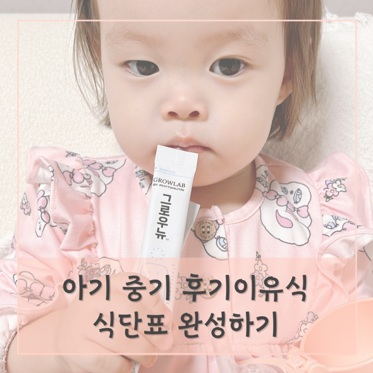 중기이유식 아기 후기이유식 식단표 그로우뉴로 완성하기 네이버 블로그