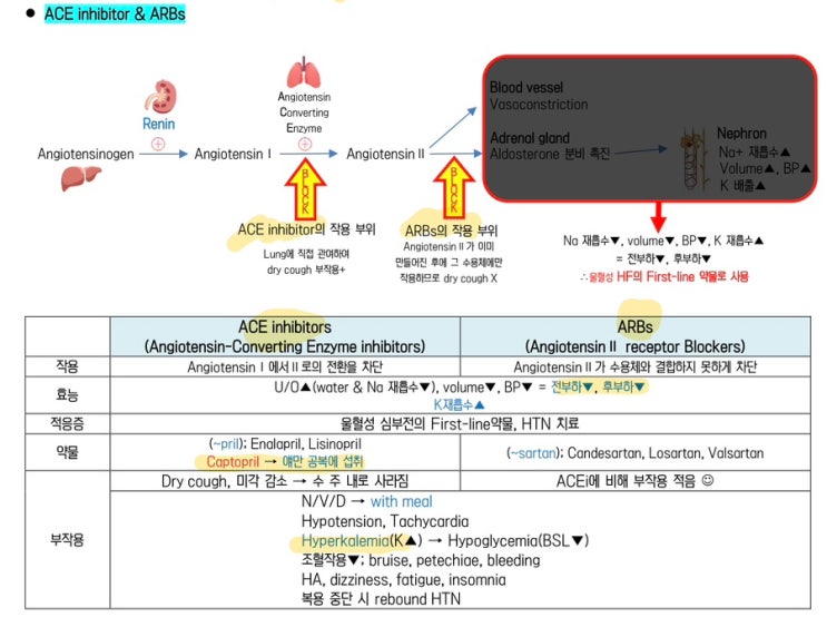 혈압약 종류 정리 ARB, CCB, 알파 베타 차단제 : 네이버 블로그
