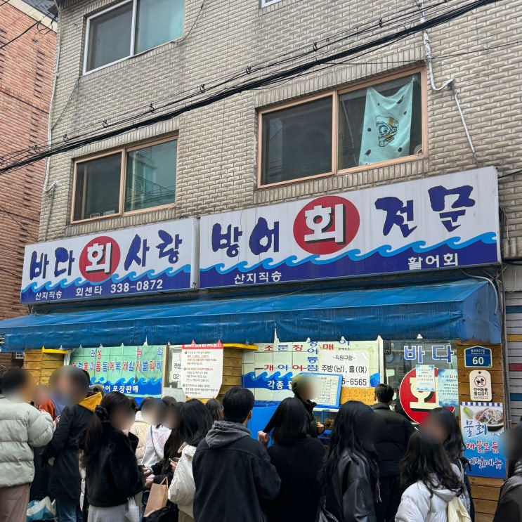 홍대 맛집 올 해 두 번째 대방어 명불허전바다회사랑1호점 평일 방문웨이팅 팁 포장 팁 네이버 블로그