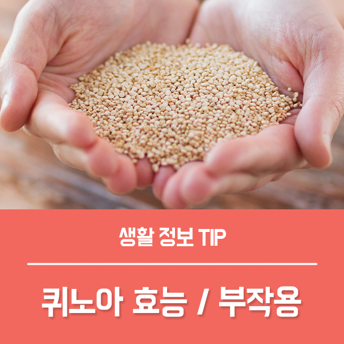 퀴노아 효능 부작용 퀴노아 세척 밥만들기 먹는법 총정리 네이버 블로그