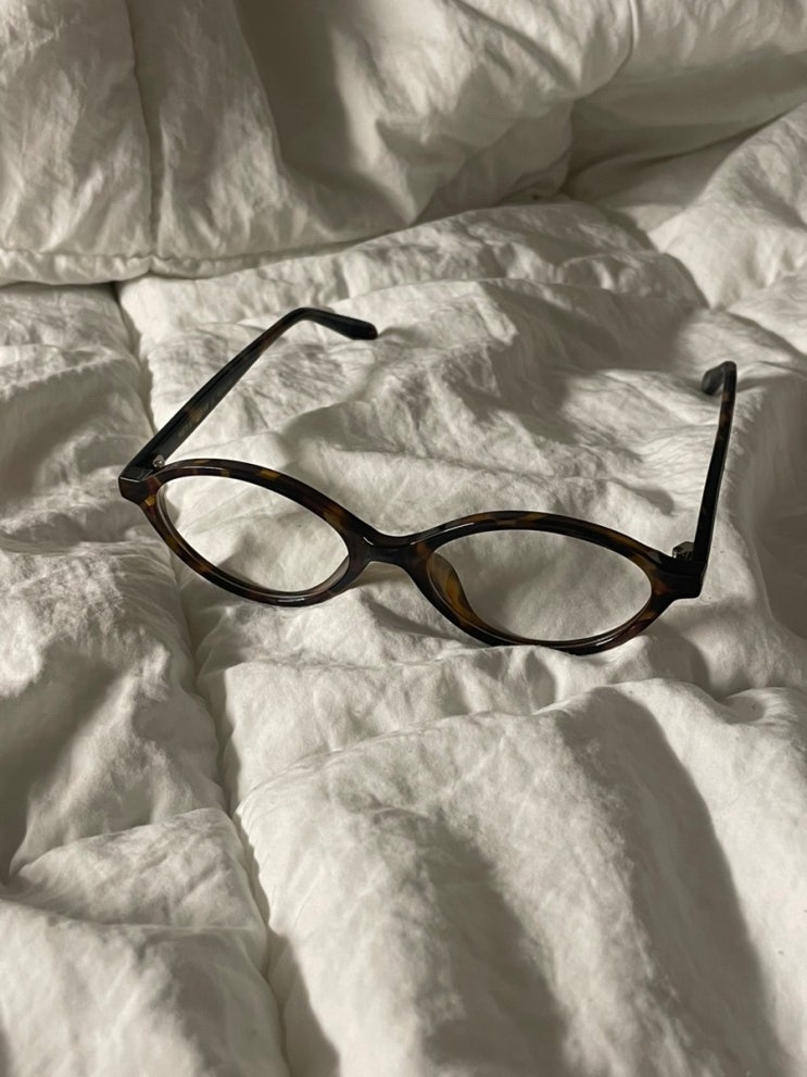 리에티 ERICA RT1018 C4 블루라이트차단안경 (29cm, 착샷) : 네이버 블로그