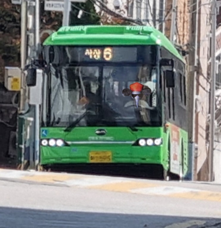 태영교통 사상6번 1595 2024 BYD E-BUS9 EV 신도색 : 네이버 블로그