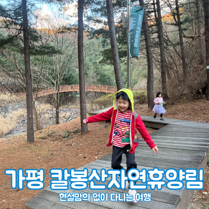 남이섬에서 차로 15분 가평 칼봉산 자연 휴양림 산림휴양관에서 하루 머물기 네이버 블로그