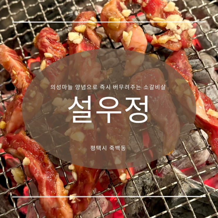 평택 회식장소 제격인 숯불로 구운 의성마늘 소갈비살 맛집 설우정 네이버 블로그