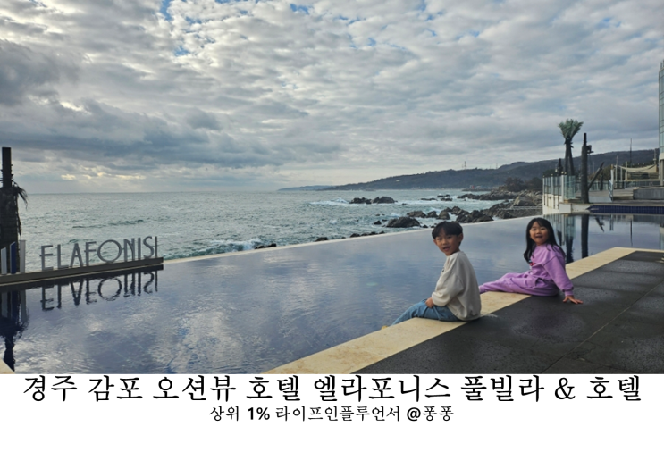 경주 감포 오션뷰 애견동반 숙소 겨울 아기랑 갈만한곳 엘라포니시 호텔 풀빌라 아이랑 가성비 호캉스 조식 후기 네이버 블로그