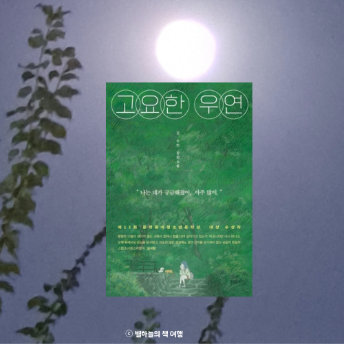 『고요한 우연』 책 리뷰 김수빈 청소년 소설책 추천 : 네이버 블로그