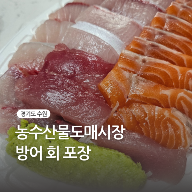 수원 농수산물도매시장 방어 회 포장 영업시간 온누리상품권 사용 내돈내산 후기 네이버 블로그