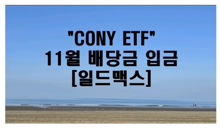 미국 월배당 일드맥스 ETF 비트코인 CONY 11월 배당금 입금 : 네이버 블로그