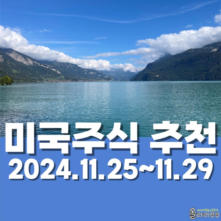 미국 주식 매수 추천 시총순위 마이크로스트래티지 MSTU TSLL : 네이버 블로그