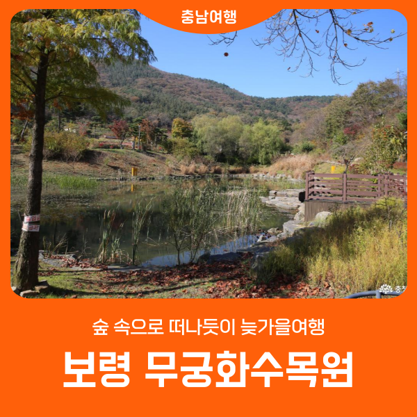 특별한 추억을 쌓는 '보령 무궁화수목원' : 네이버 블로그
