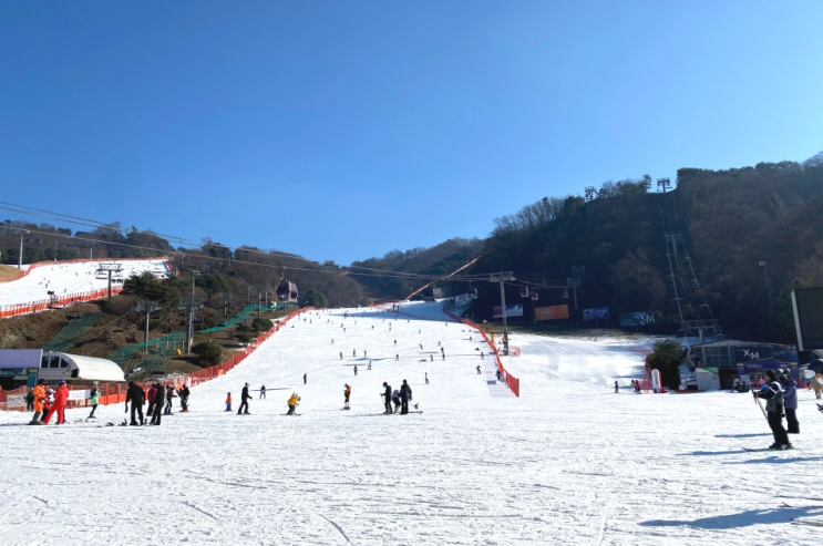 2425 평창 휘닉스파크 리프트권 가격 및 비발디파크 리프트권 가격 정보 네이버 블로그