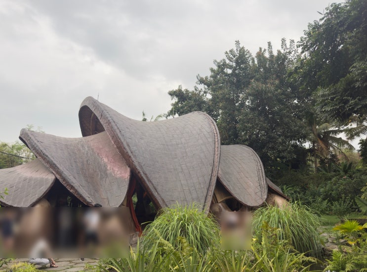 발리 요가 여행 알케미 Water class 초보자 수업 후기, Ubud Alchemy Yoga : 네이버 블로그