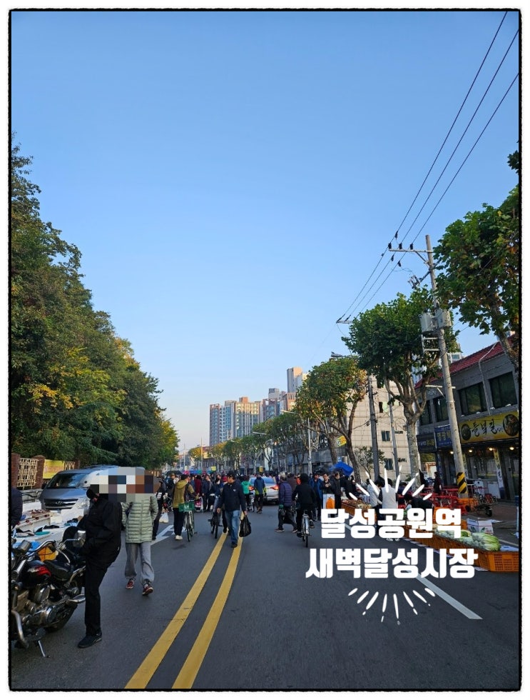 달성공원 새벽시장 볼거리 먹거리 가득하네 : 네이버 블로그