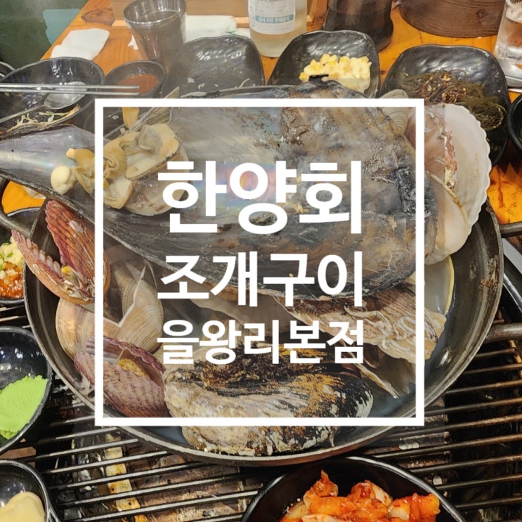 인천 을왕동 맛집 한양회조개구이 을왕리본점 을왕리 바다뷰와 함께한 맛있는 조개구이와 삼겹살 이야기 네이버 블로그